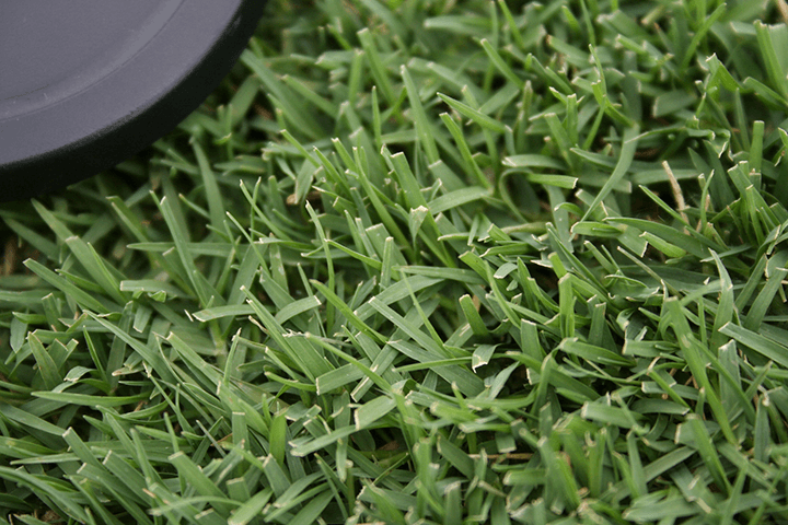 Turf Suppliers Brisbane & Gold Coast | All Turf Solutions